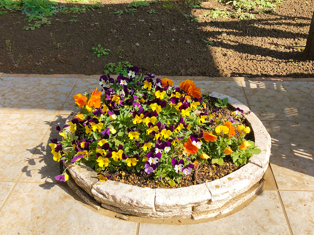 【来迎寺だより】来迎寺、春のお彼岸 2023 – 【公式】浄土宗 東光山宝樹院 来迎寺 | 千葉県香取市のお寺